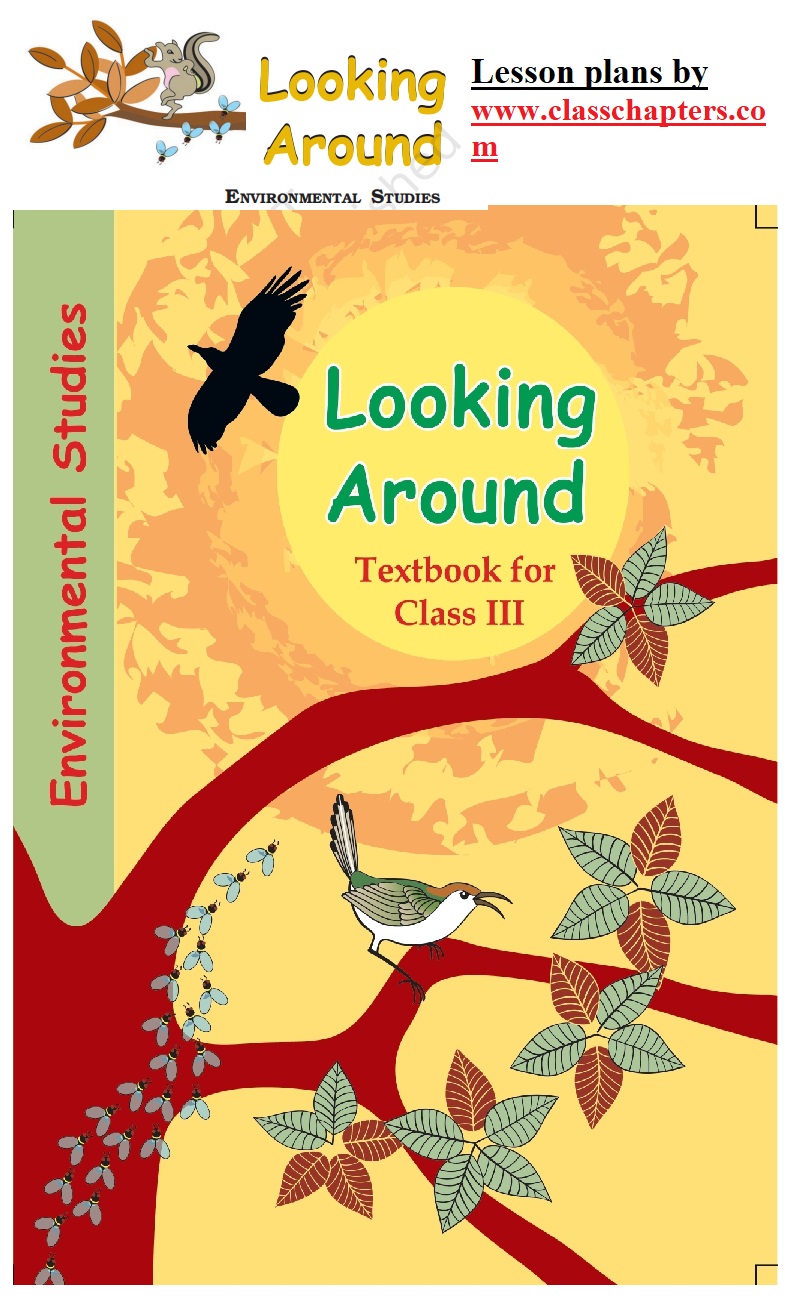 Class 3 EVS Lesson Plans - Innovative and Engaging Class - class chapters