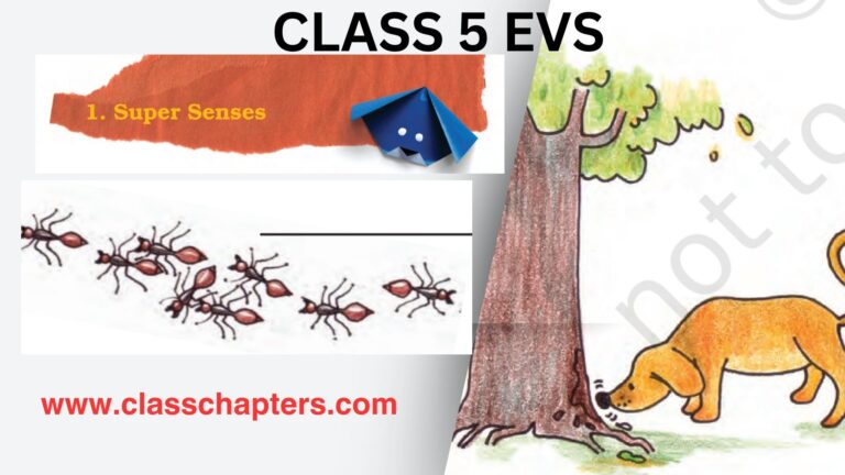 Class 5 EVS Lesson Plan in Word and PDF format - class chapters
