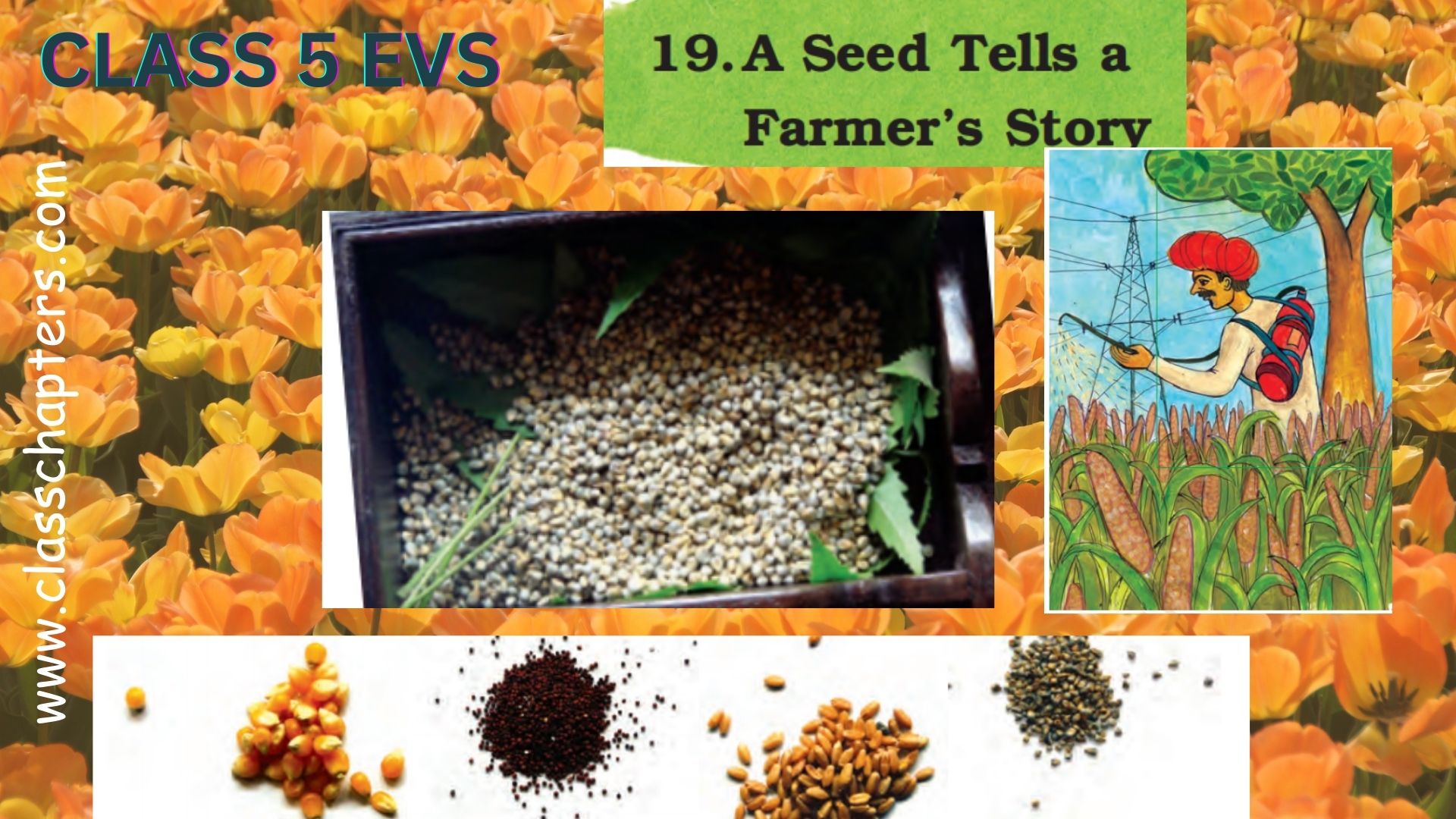 Class 5 EVS Lesson Plan in Word and PDF format - class chapters