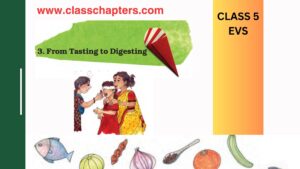 Class 5 EVS Lesson Plan in Word and PDF format - class chapters