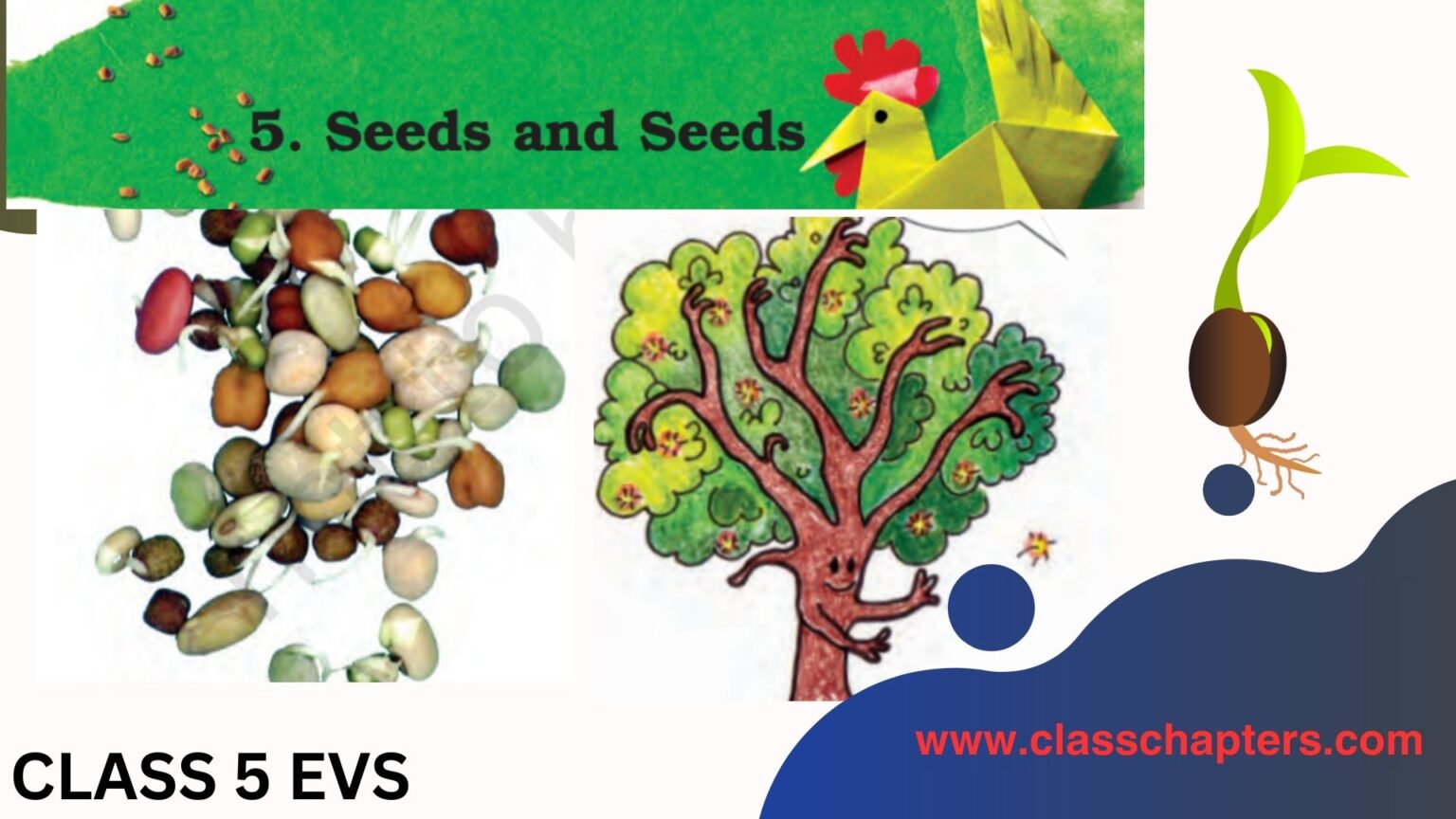 Class 5 EVS Lesson Plan in Word and PDF format - class chapters